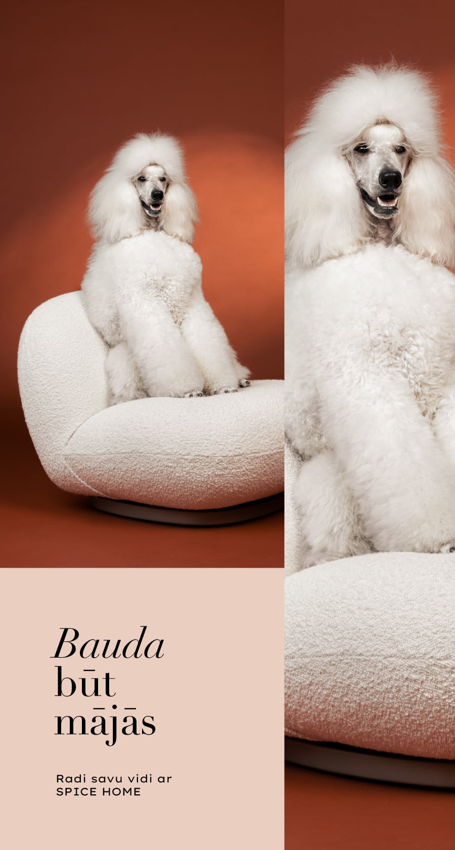 Tirdzniecības centrs SPICE